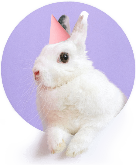 Your payment has been successful - ShopWired